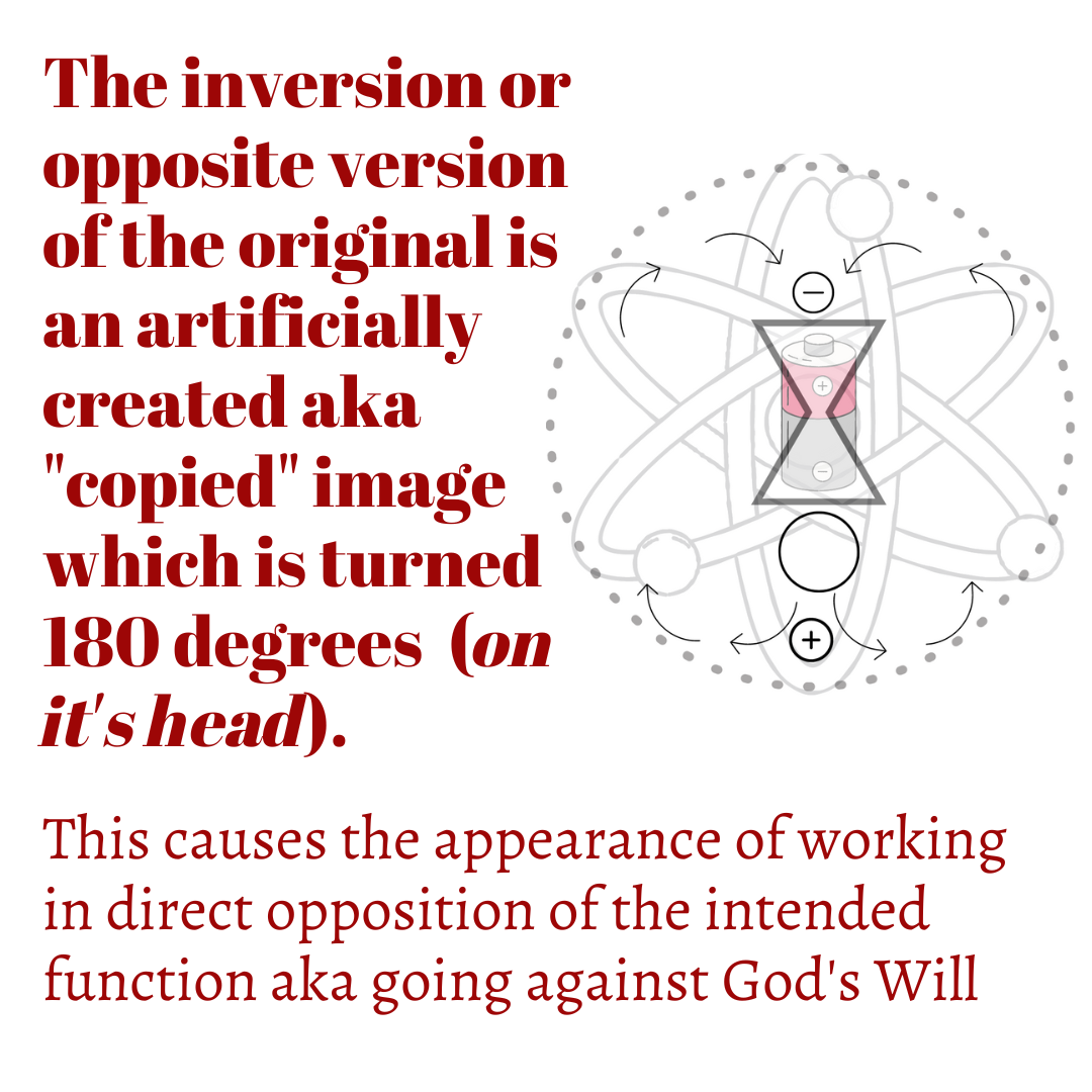 Understanding the Torus within Polarity – A.MarieSpeaks